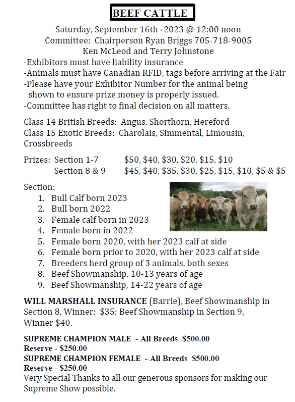 Oro World’s Fair Beef Cattle Show | ORO WORLD'S FAIR